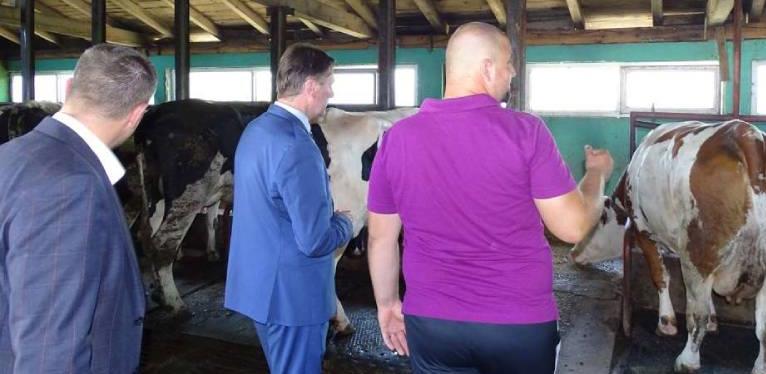 Gradi se savremena farma u Bužimu, investicija "teška" dva miliona KM ...