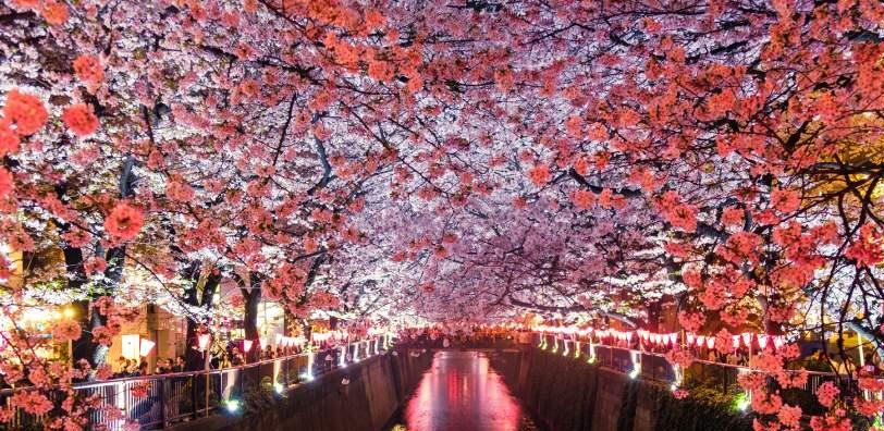 Japan ima više od 95.000 stogodišnjaka, skoro 90 posto su žene - Akta ...