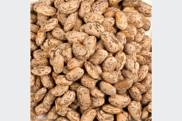 Delta trade: Vodeći uvoznik sjemenki i začina u BiH - Akta.ba