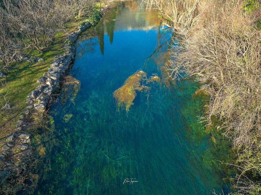 Prizor koji oduzima dah: Pogledajte kako izgleda Bezdan izvor rijeke ...